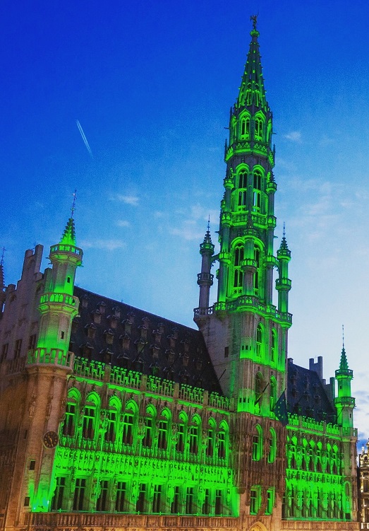 World Environment Day | City of Brussels