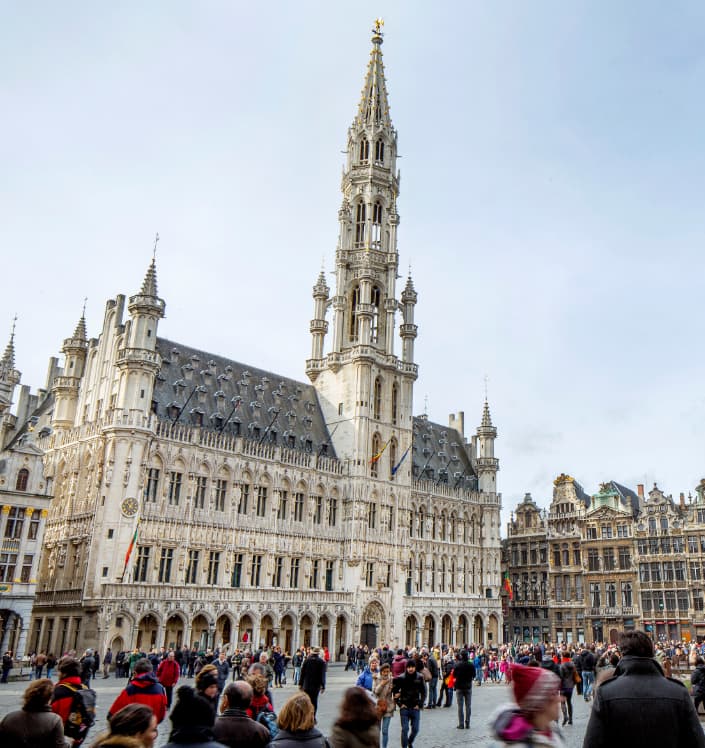 Honoring of the Belgian Cats in Brussels | City of Brussels